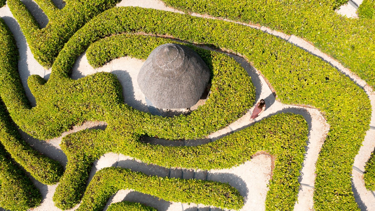 Discover the best mazes in the UK | National Trust