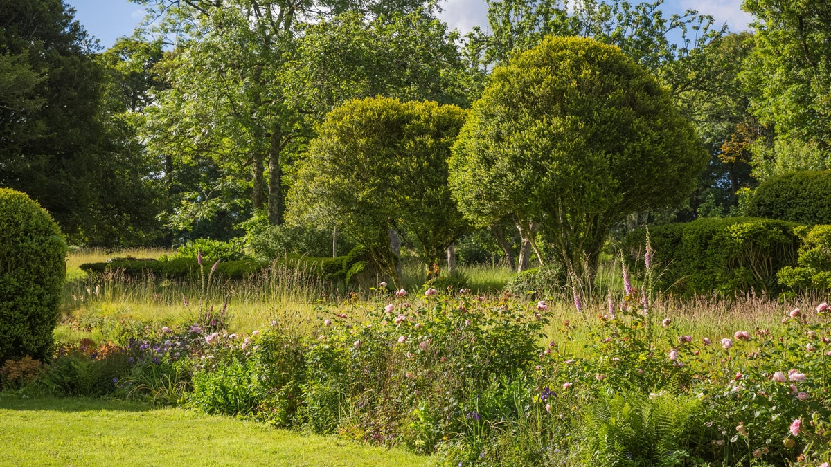 Visiting Godolphin's garden | Cornwall | National Trust