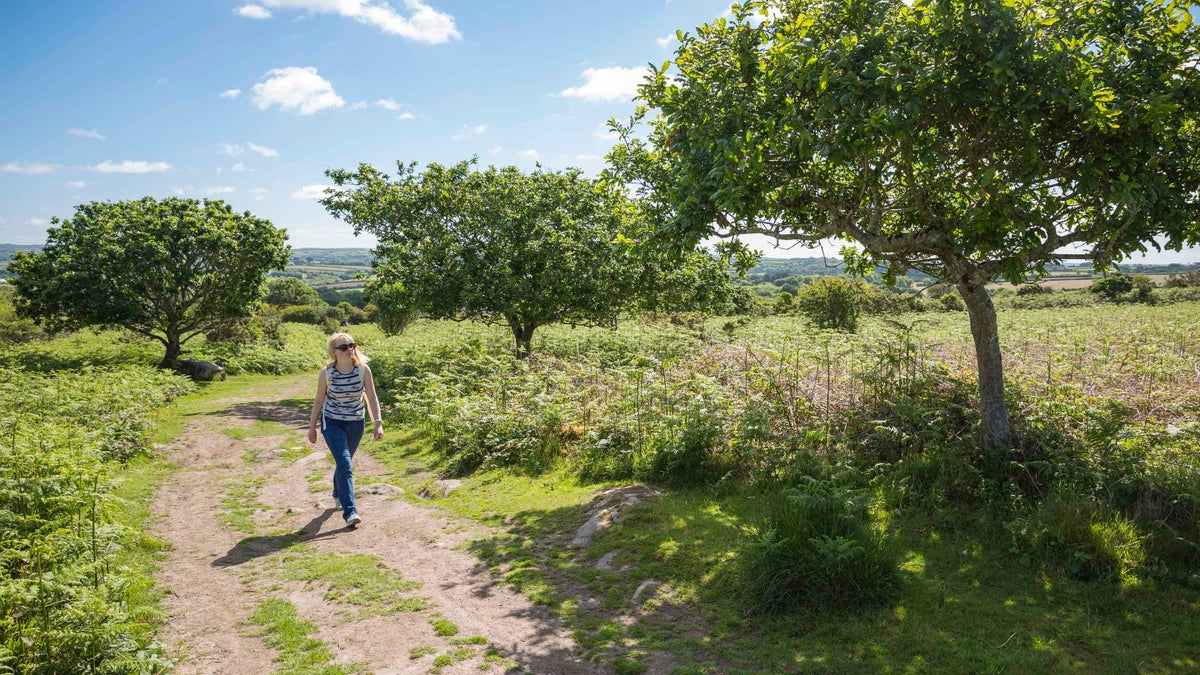 Visiting Godolphin's estate | Cornwall | National Trust