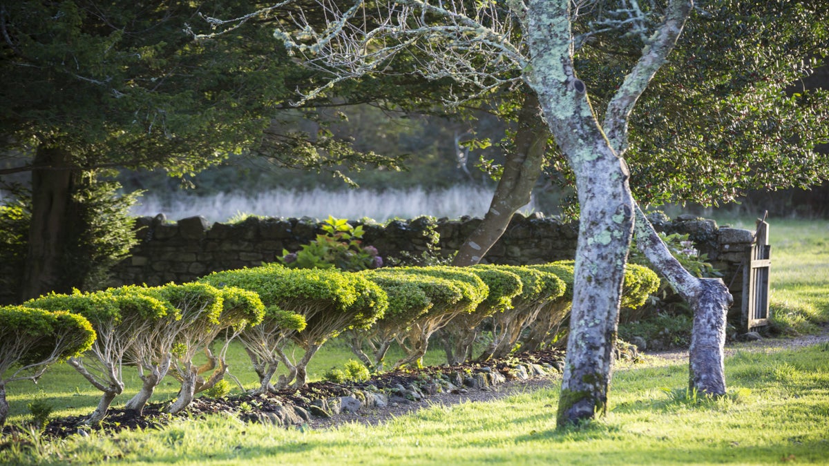 Godolphin | Cornwall | National Trust