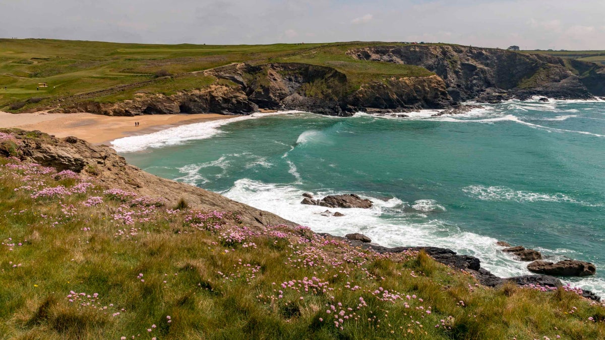 What to see and do at Gunwalloe | Cornwall | National Trust