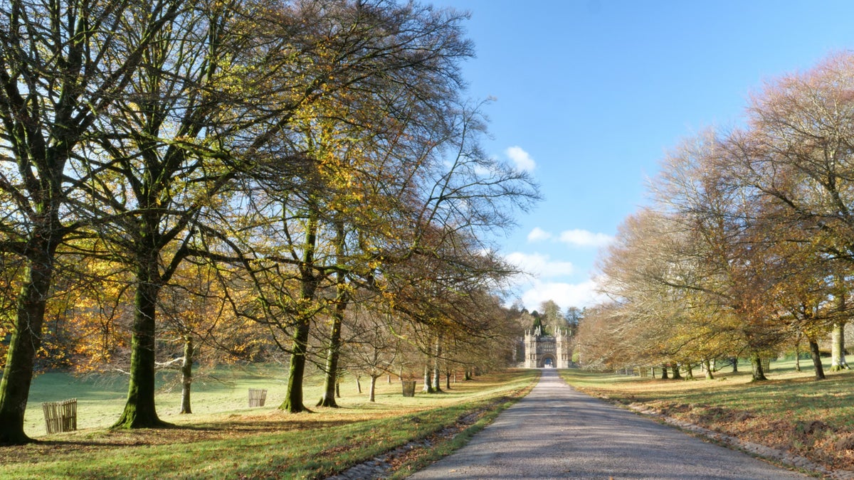 Visiting Lanhydrock Estate | Cornwall | National Trust