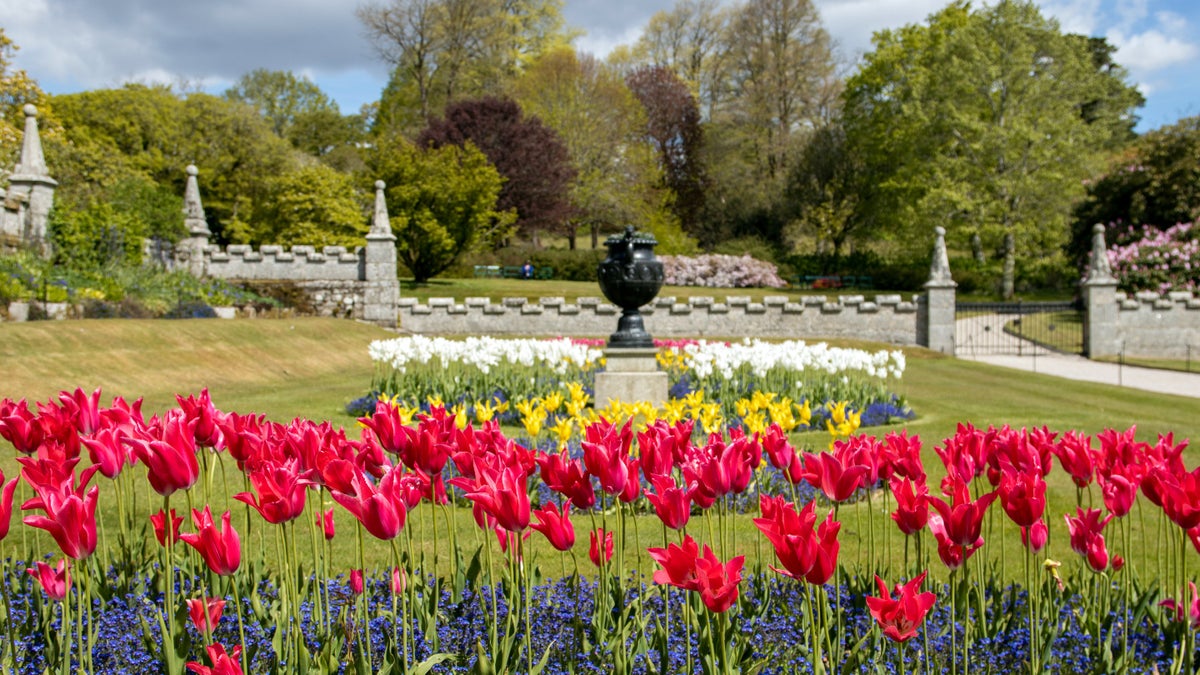 History of the garden at Lanhydrock | National Trust