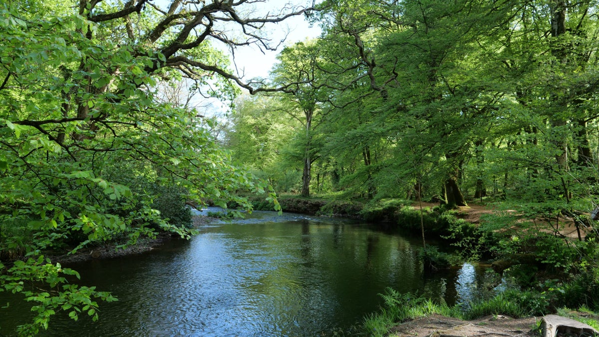 Lanhydrock Respryn Ramble | Cornwall | National Trust