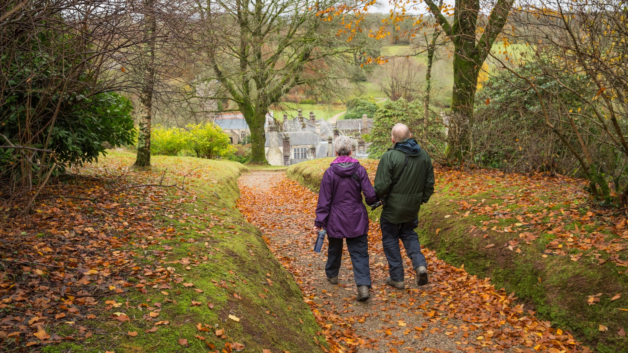 Lanhydrock Deer Wall walk | Cornwall | National Trust