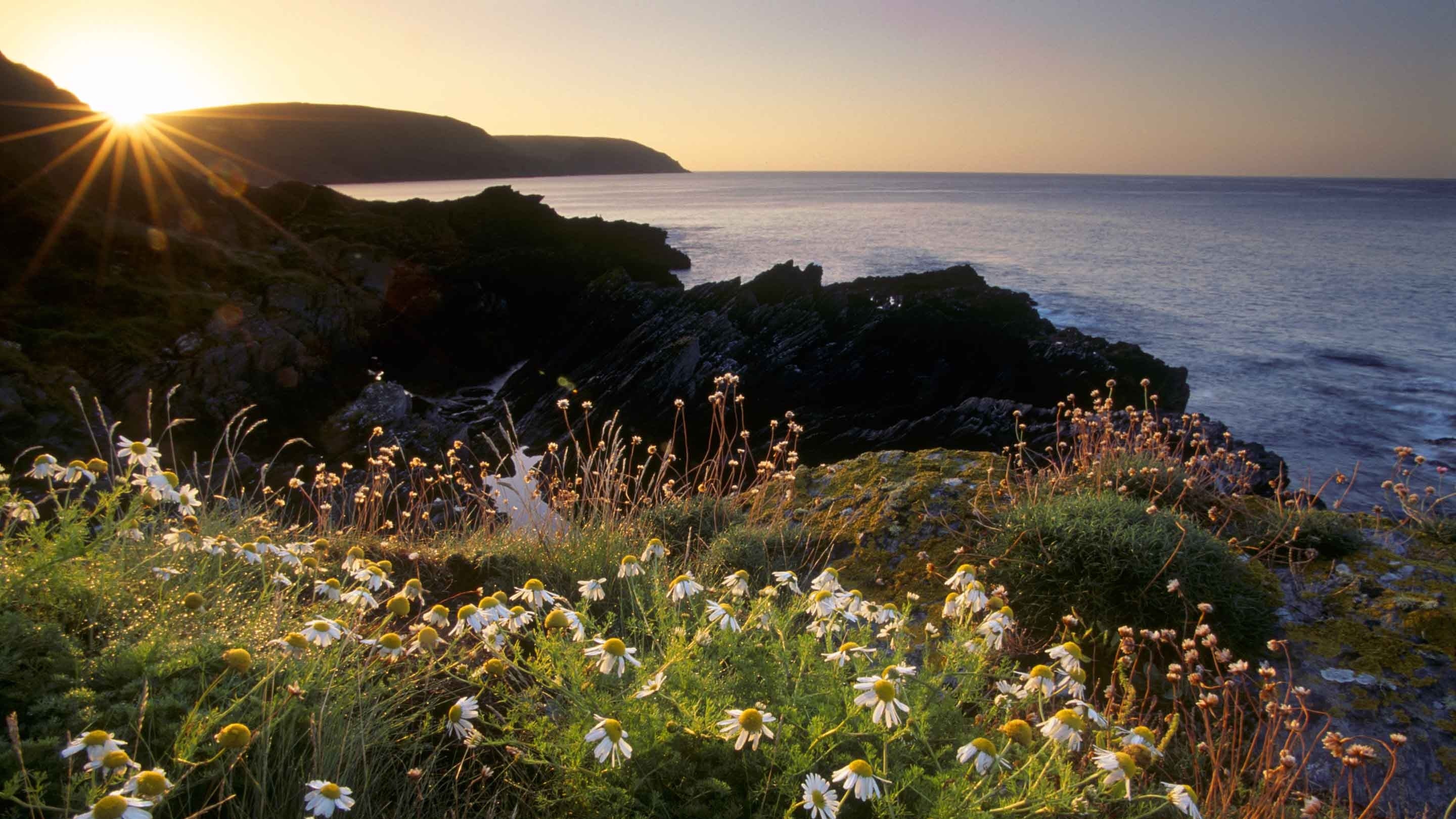 Coast | National Trust