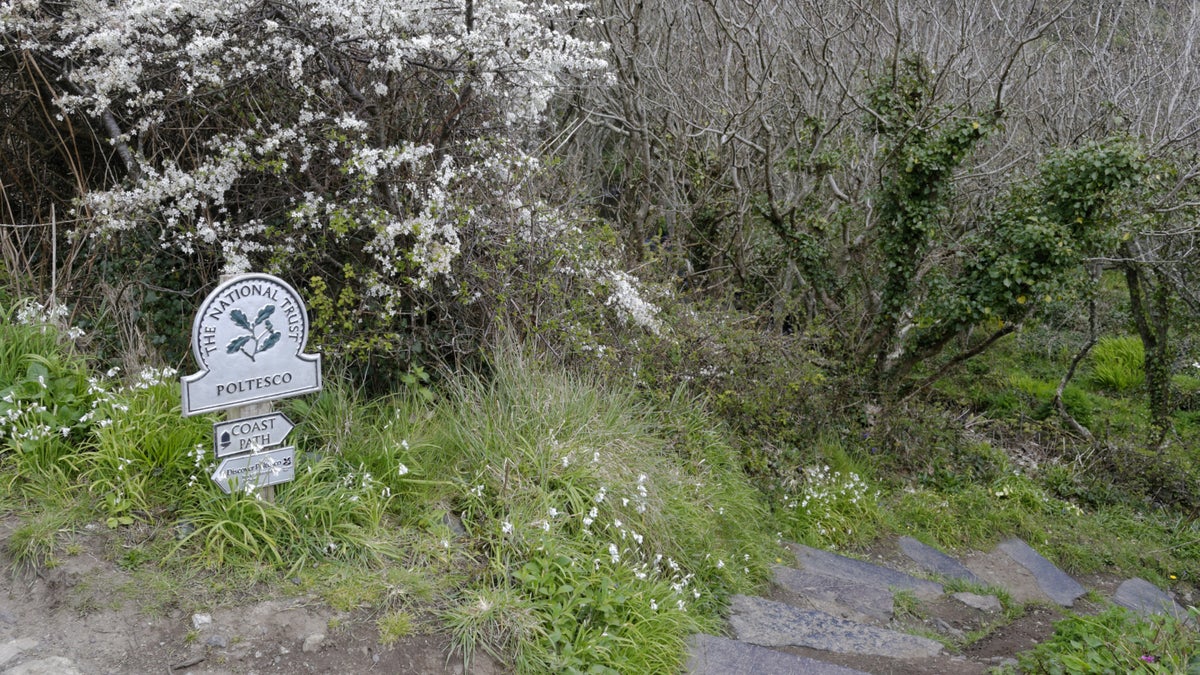 Mills, Victorian factory walk | Cornwall | National Trust