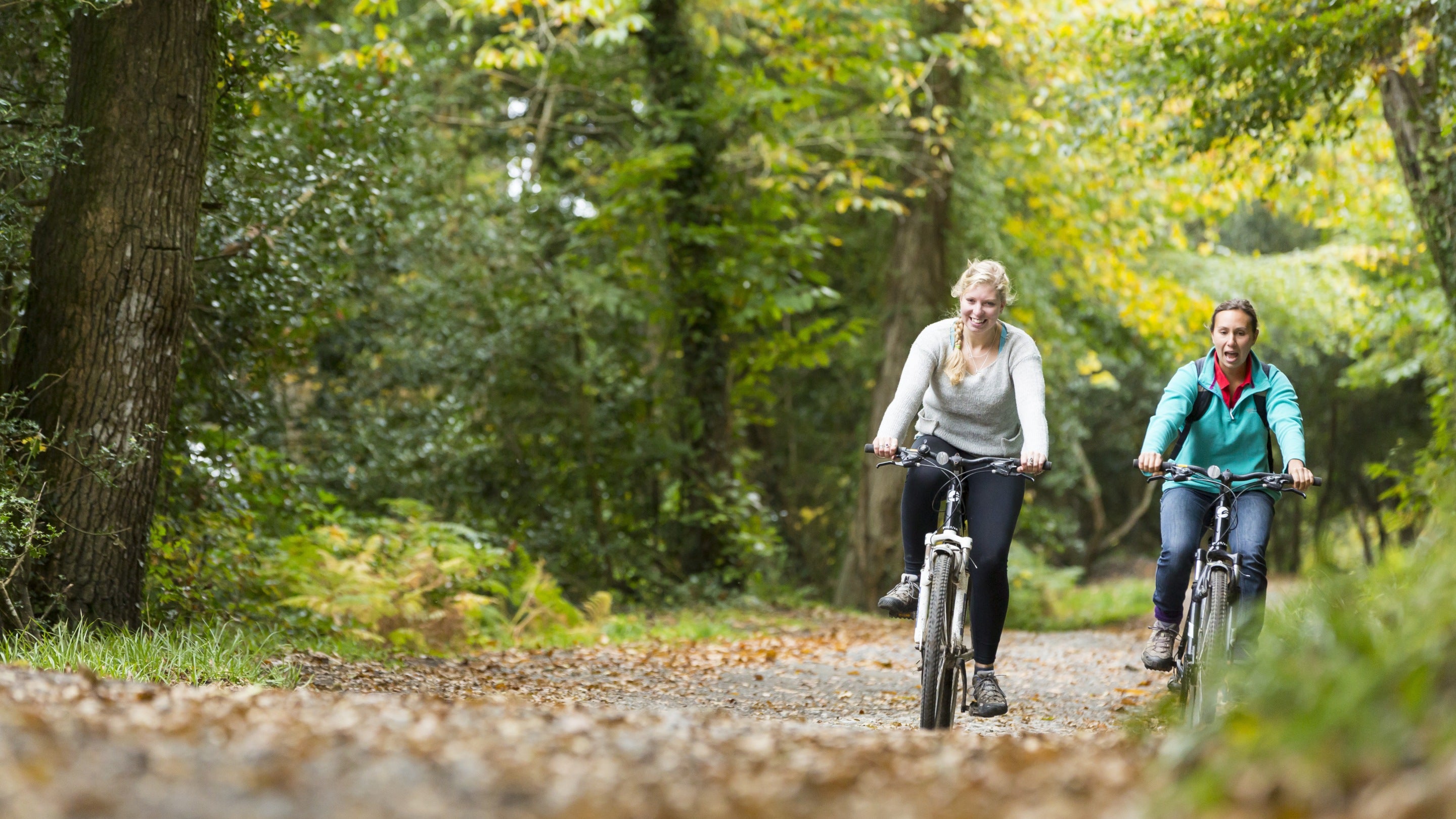 Visiting Penrose | Cornwall | National Trust