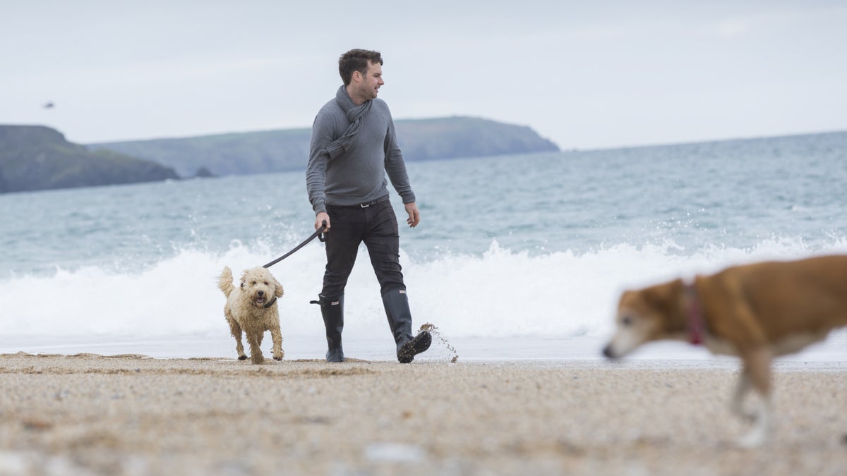 Dog walking at Penrose | Cornwall | National Trust