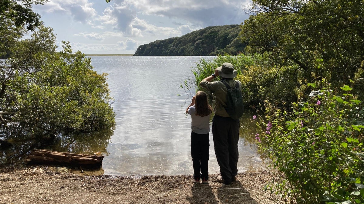 Visiting Penrose | Cornwall | National Trust