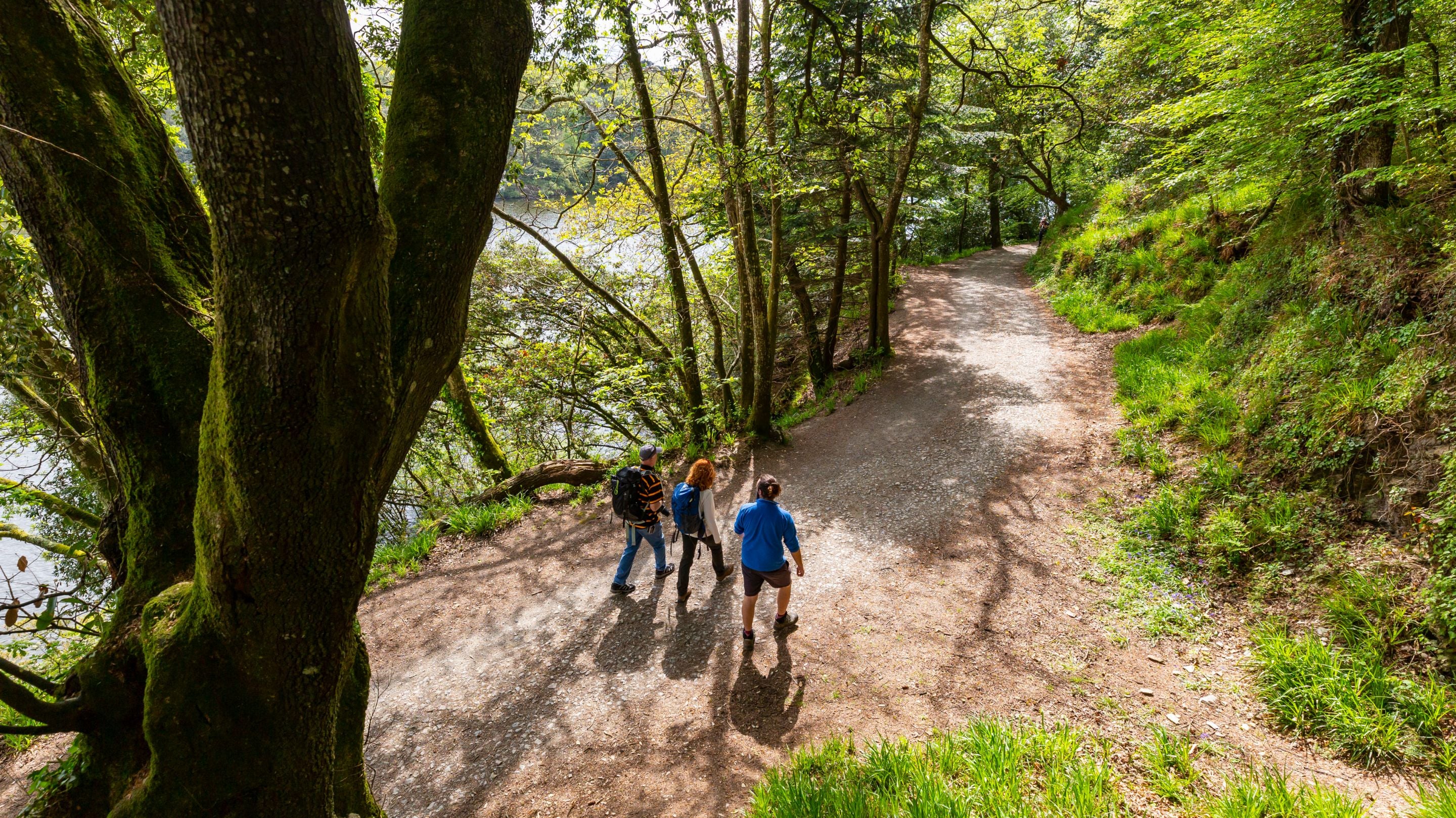 Visiting Penrose | Cornwall | National Trust