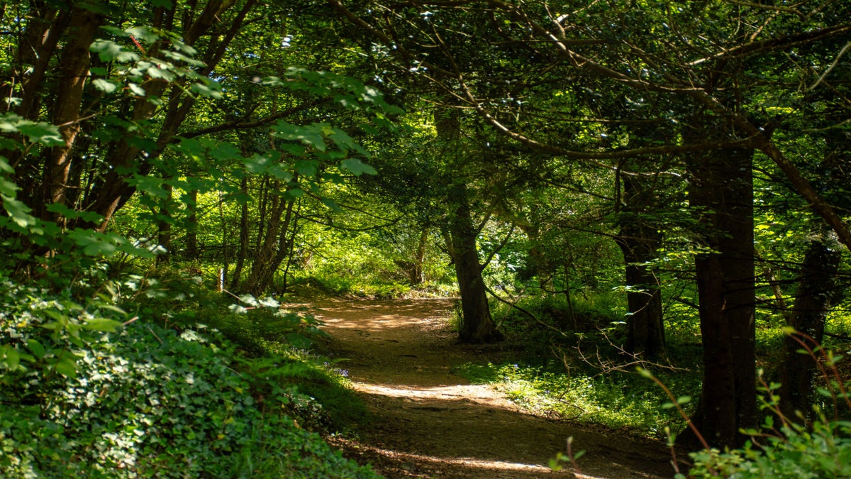 Penrose, Helston, 2.5 mile circular walk. | National Trust