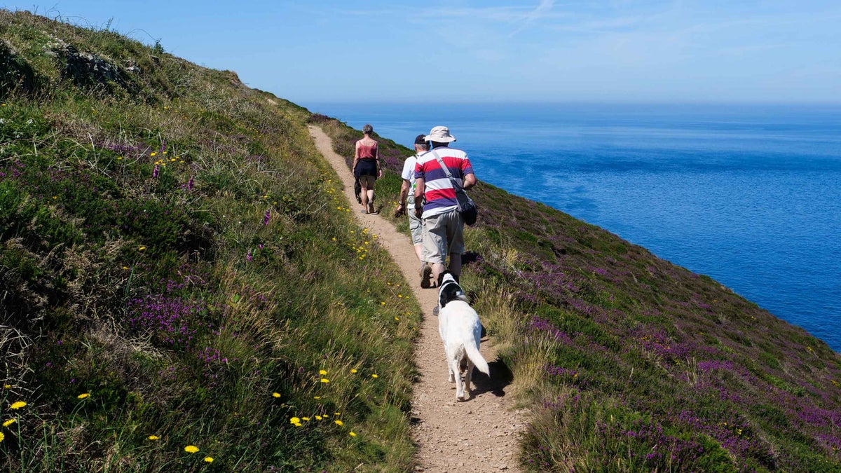 Dog walking at Wheal Coates | Cornwall | National Trust