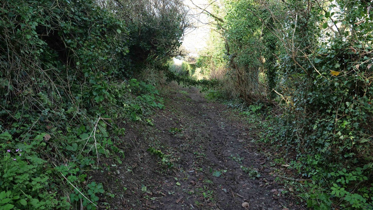 Lamledra to Mariella's Woodland | Cornwall | National Trust