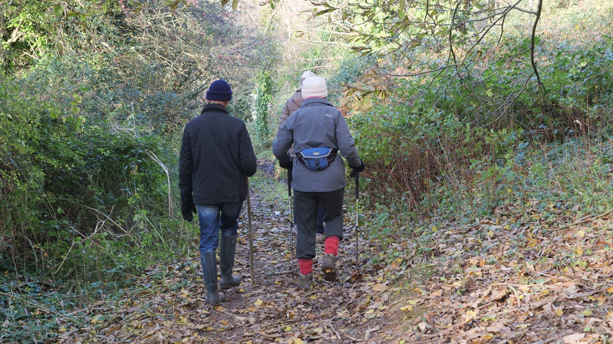 Lamledra to Mariella's Woodland | Cornwall | National Trust