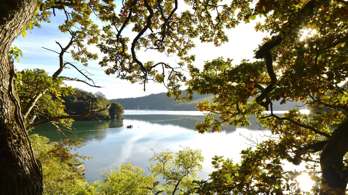 Trelissick Roundwood Quay stroll | Cornwall | National Trust