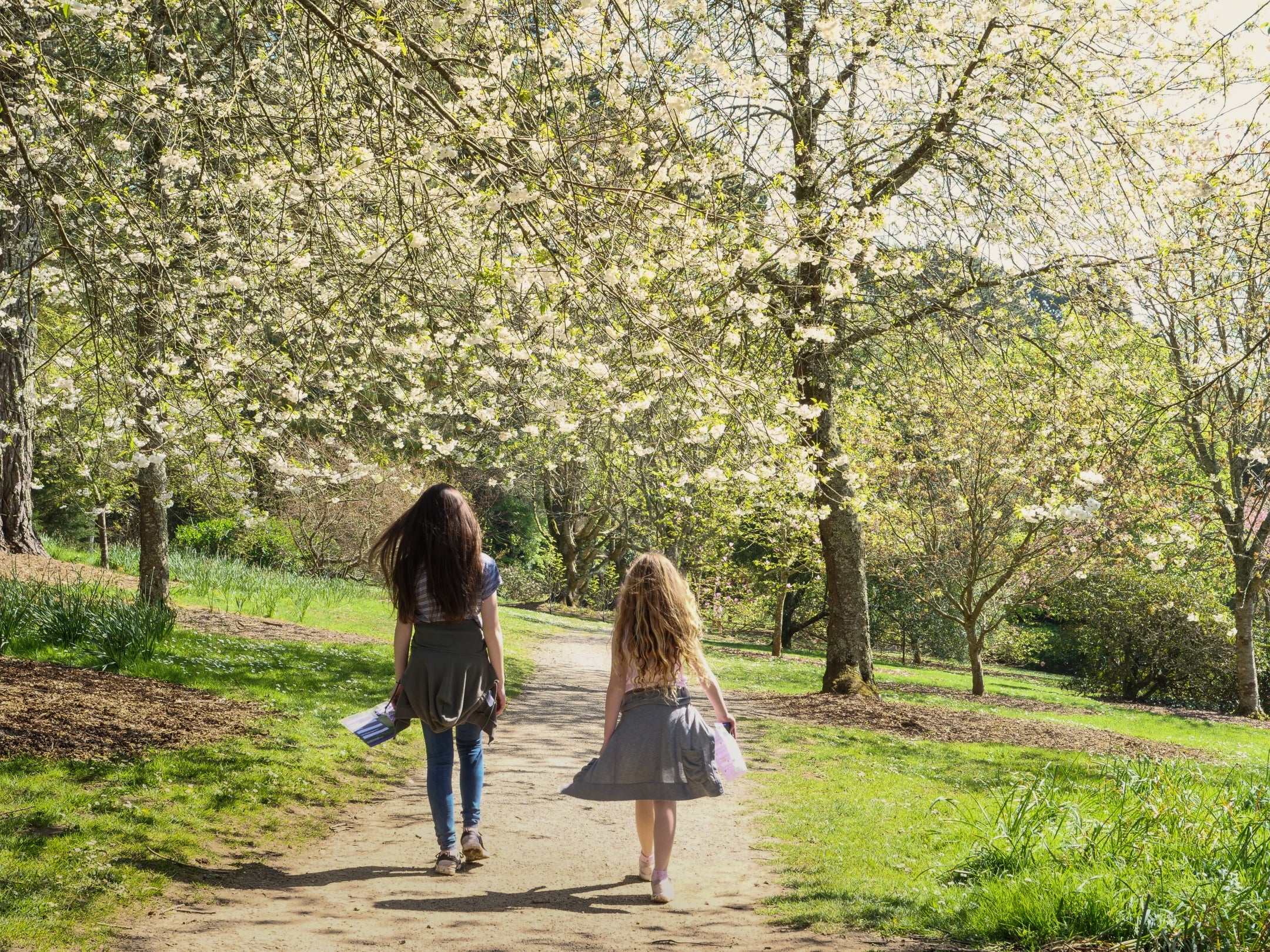 Trelissick | Cornwall | National Trust
