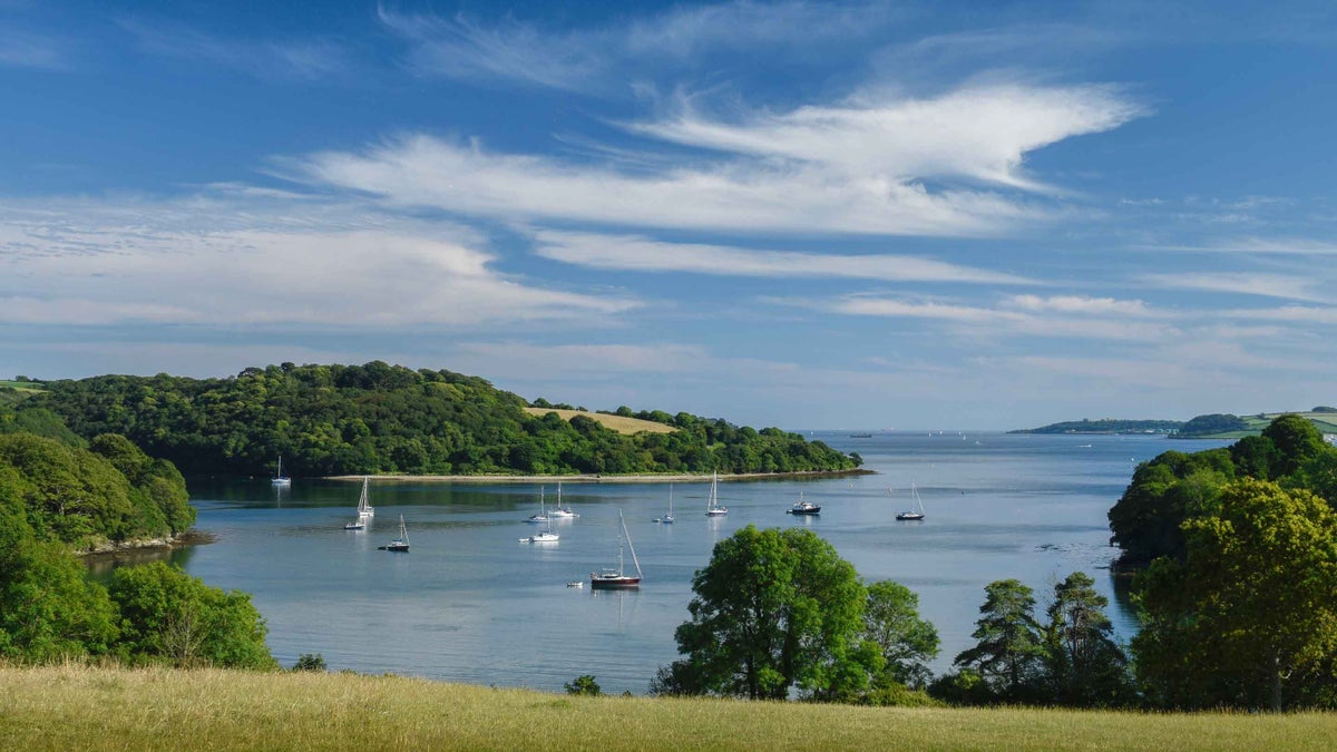 Visit Trelissick's estate | Cornwall | National Trust