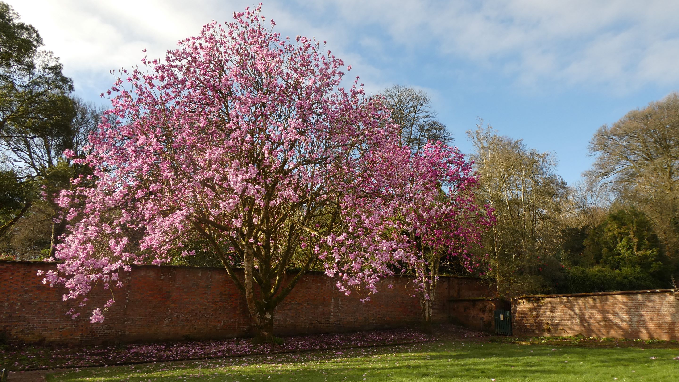 Cornwall | South West | England | National Trust