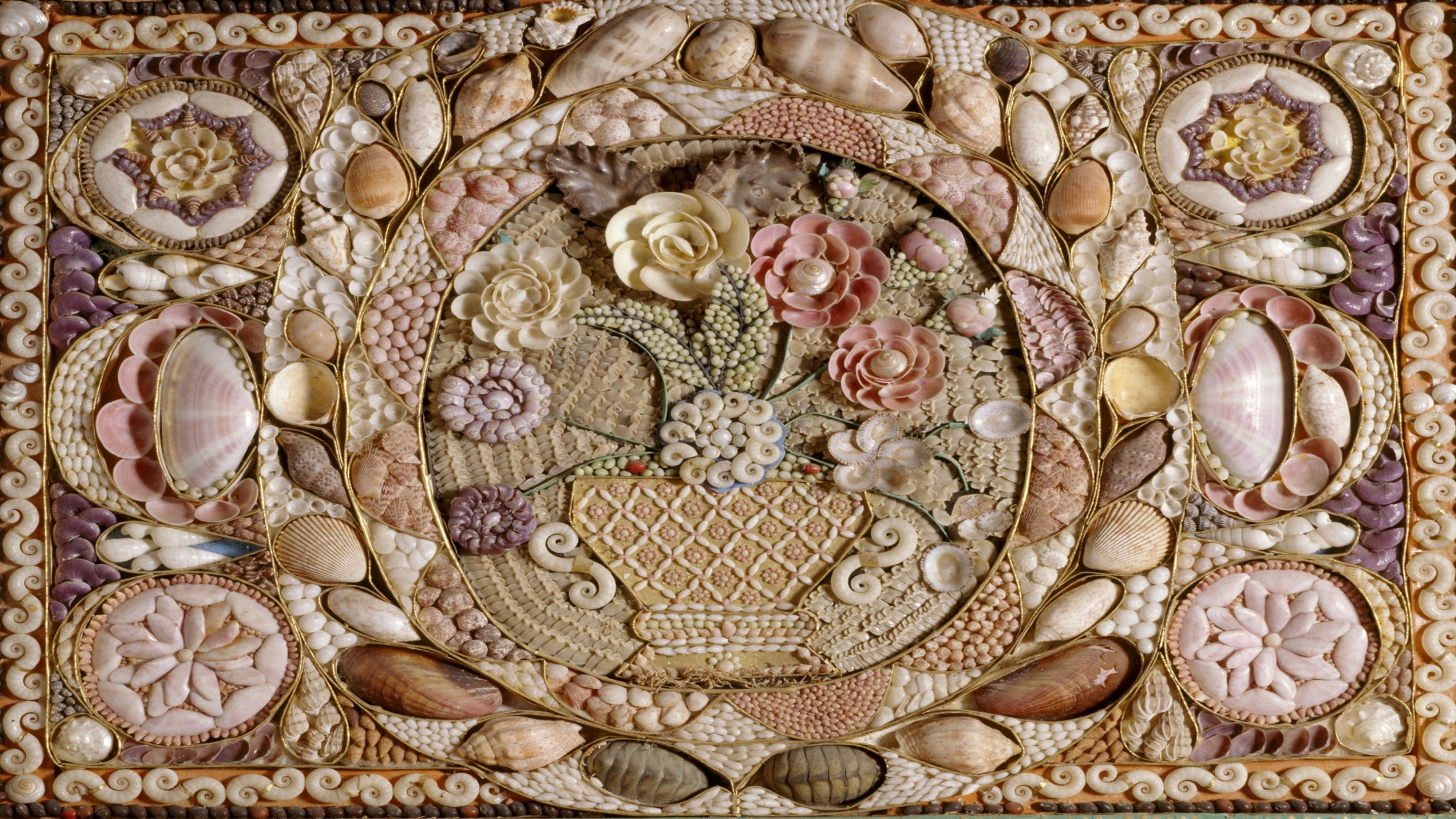 The collection at Arlington Court | National Trust