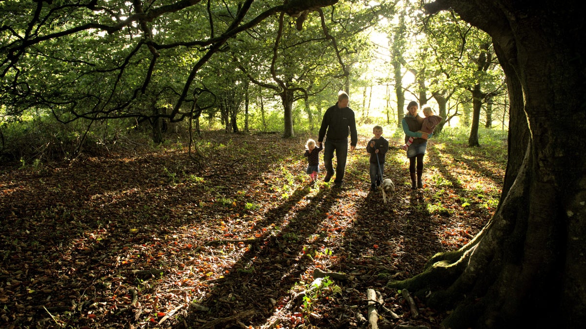 Walking in Devon | National Trust
