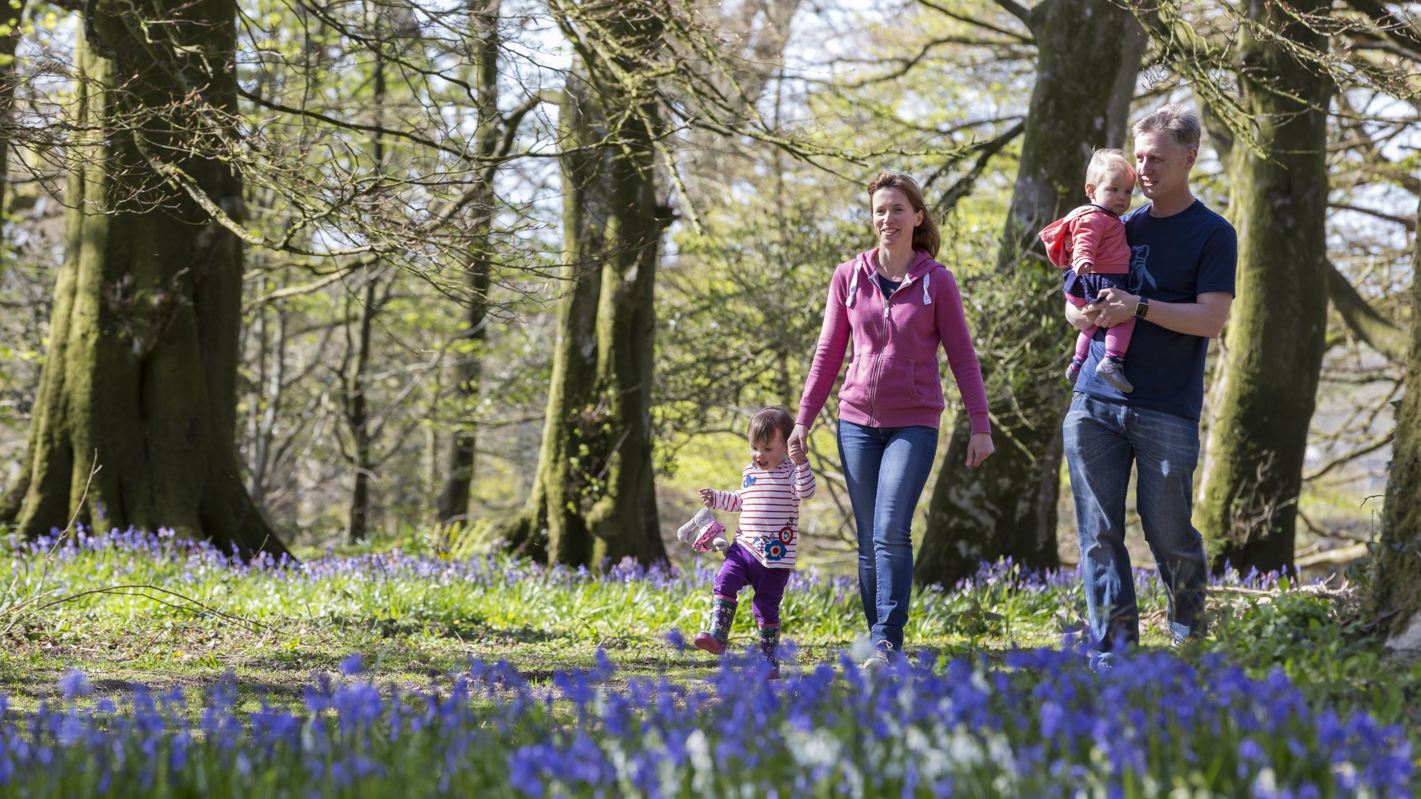 Visiting Dudmaston's estate | Shropshire | National Trust