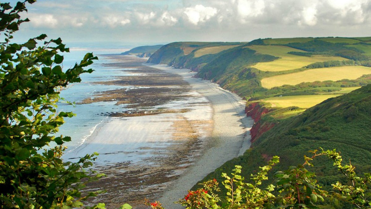 Peppercombe Valley circular walk | Devon | National Trust