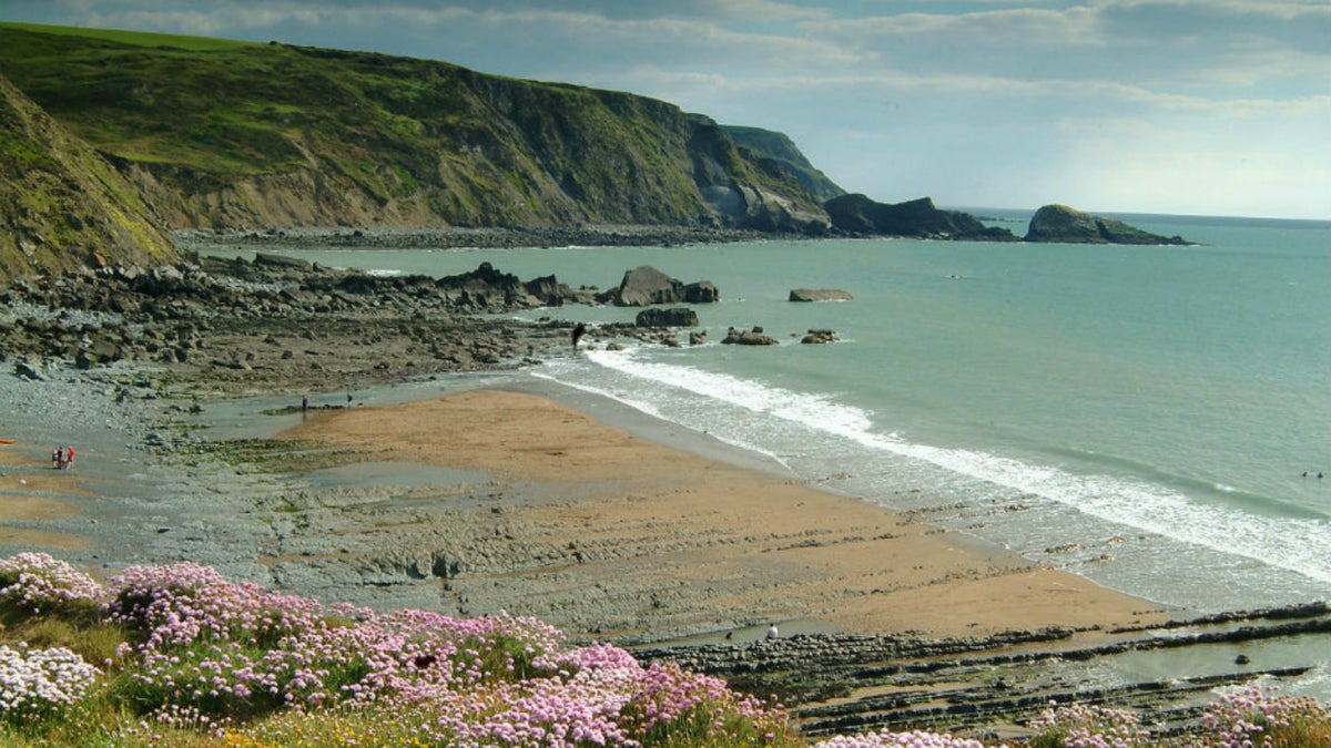 Short walk around Welcombe Mouth | Devon | National Trust