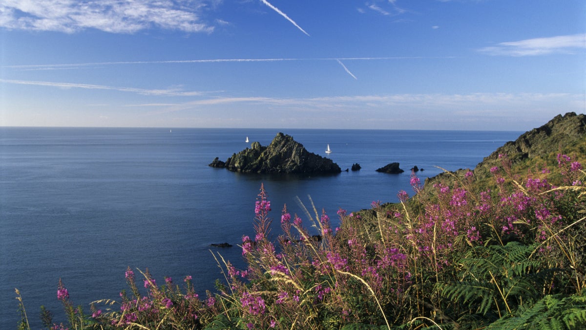 Froward Point circular walk | Devon | National Trust