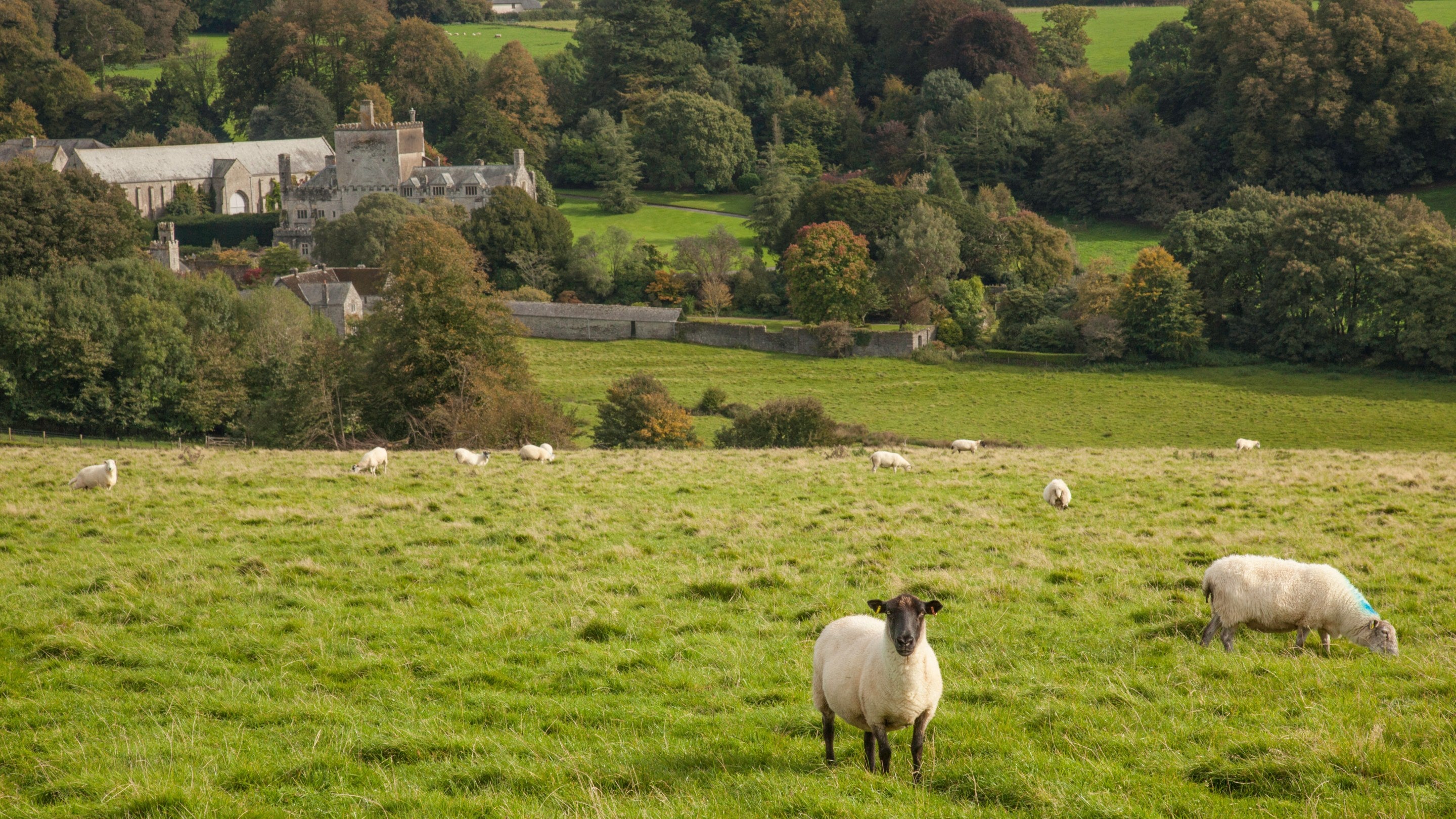 Buckland Abbey | Devon | National Trust