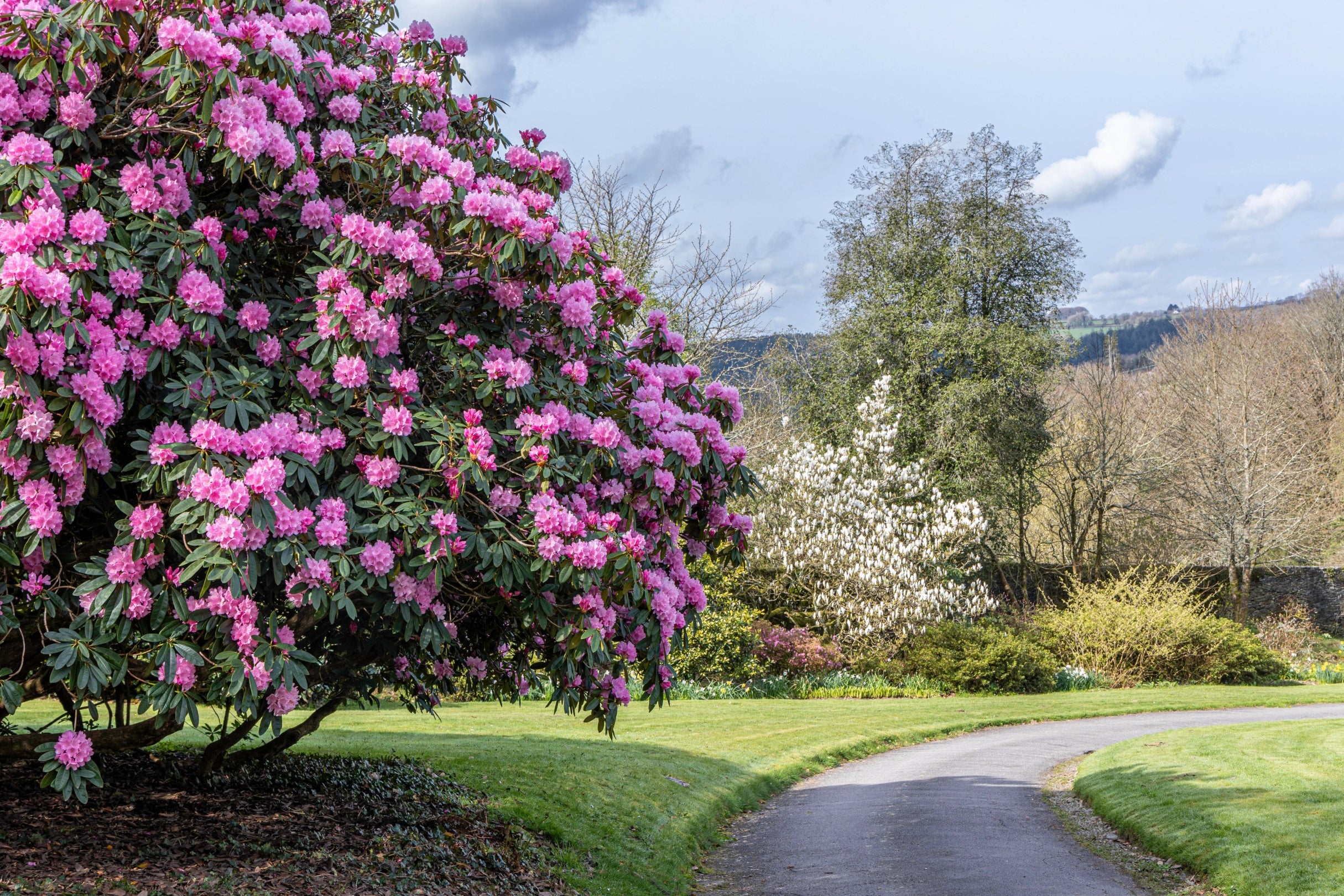 Visiting Buckland Abbey's garden | National Trust