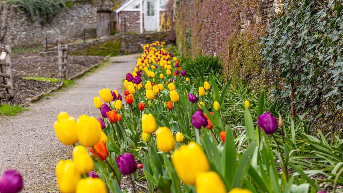 Visiting Buckland Abbey's garden | National Trust