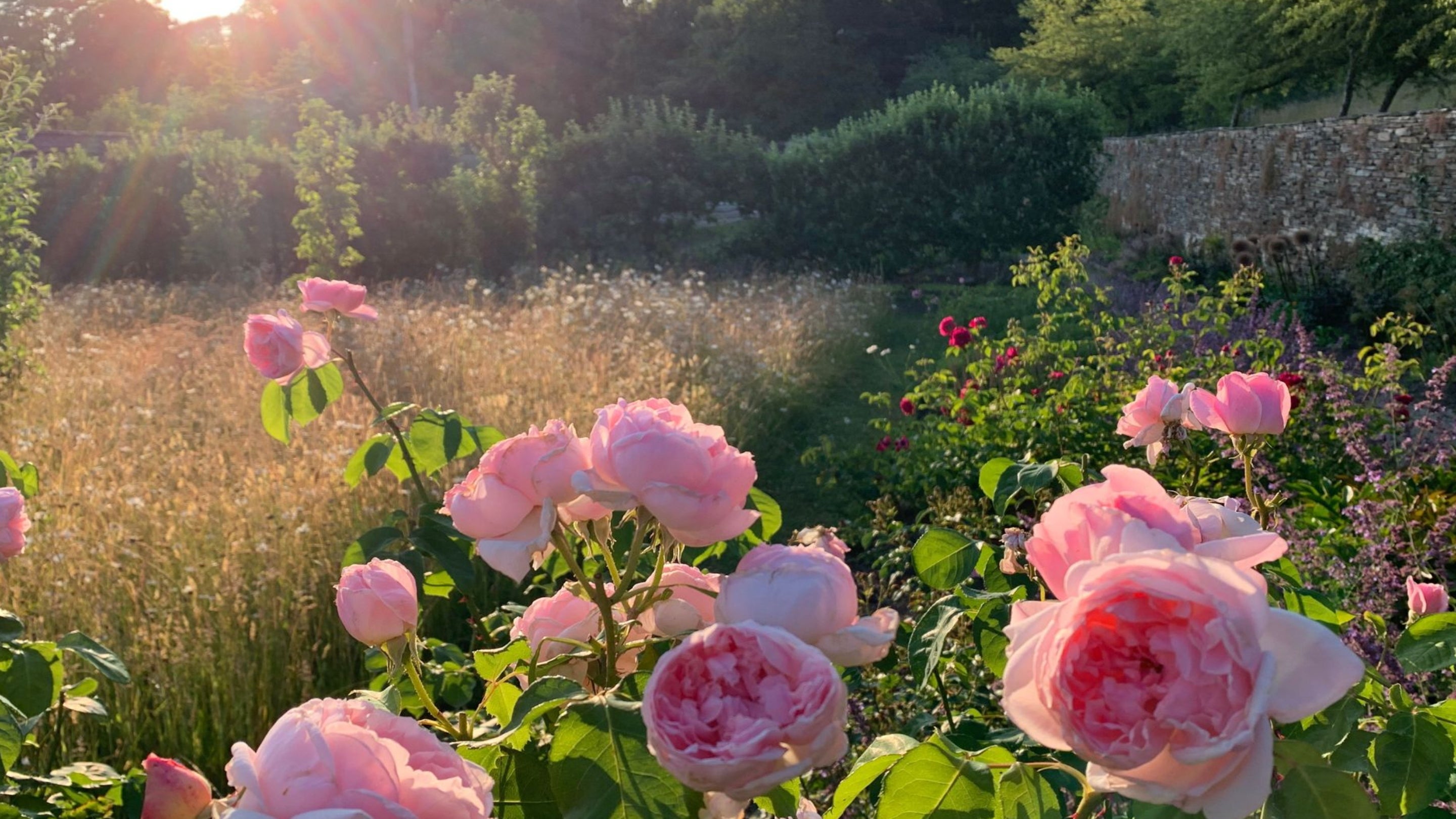 Visiting Buckland Abbey's garden | National Trust