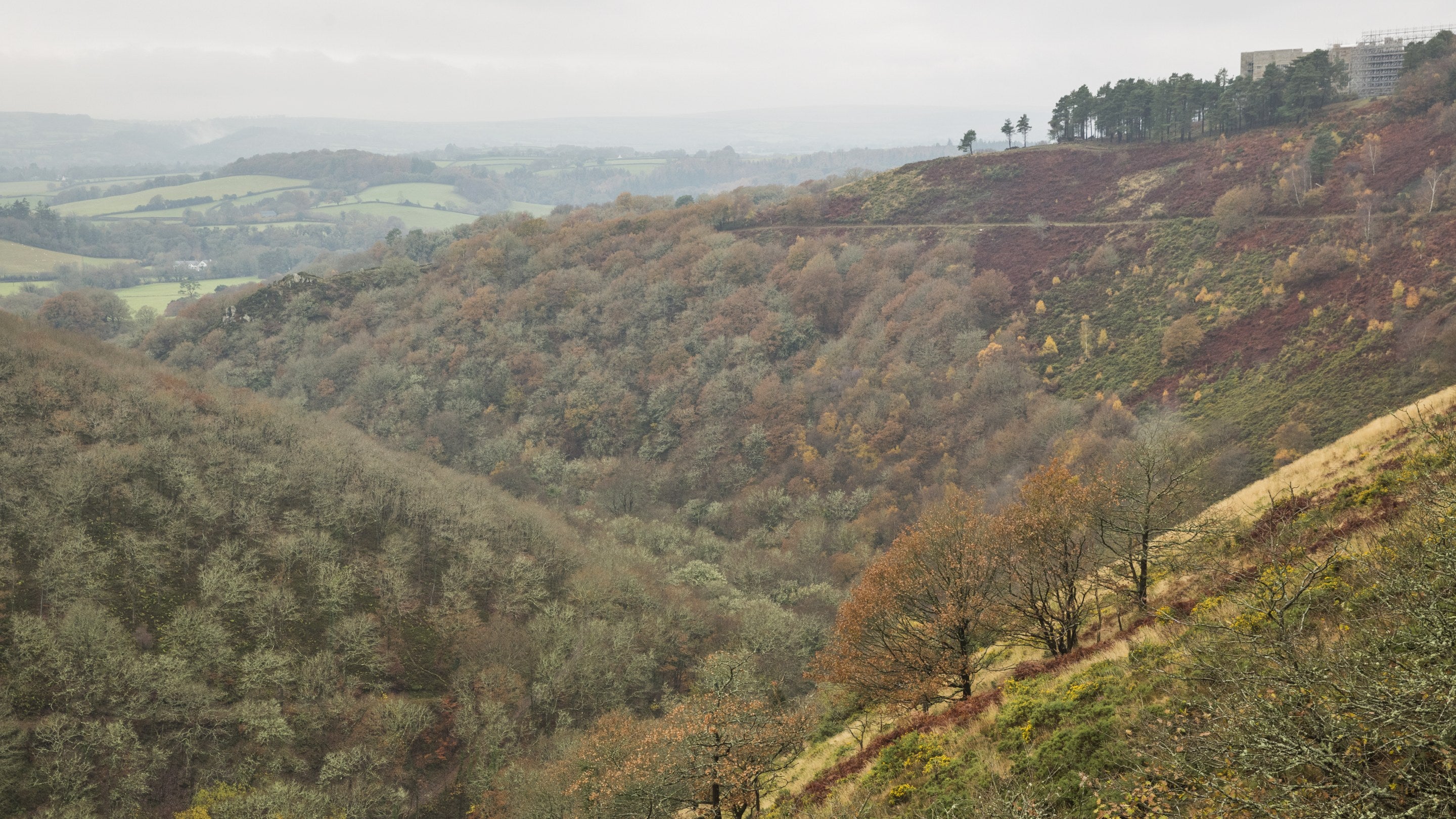 Teign Gorge walk | Devon | National Trust