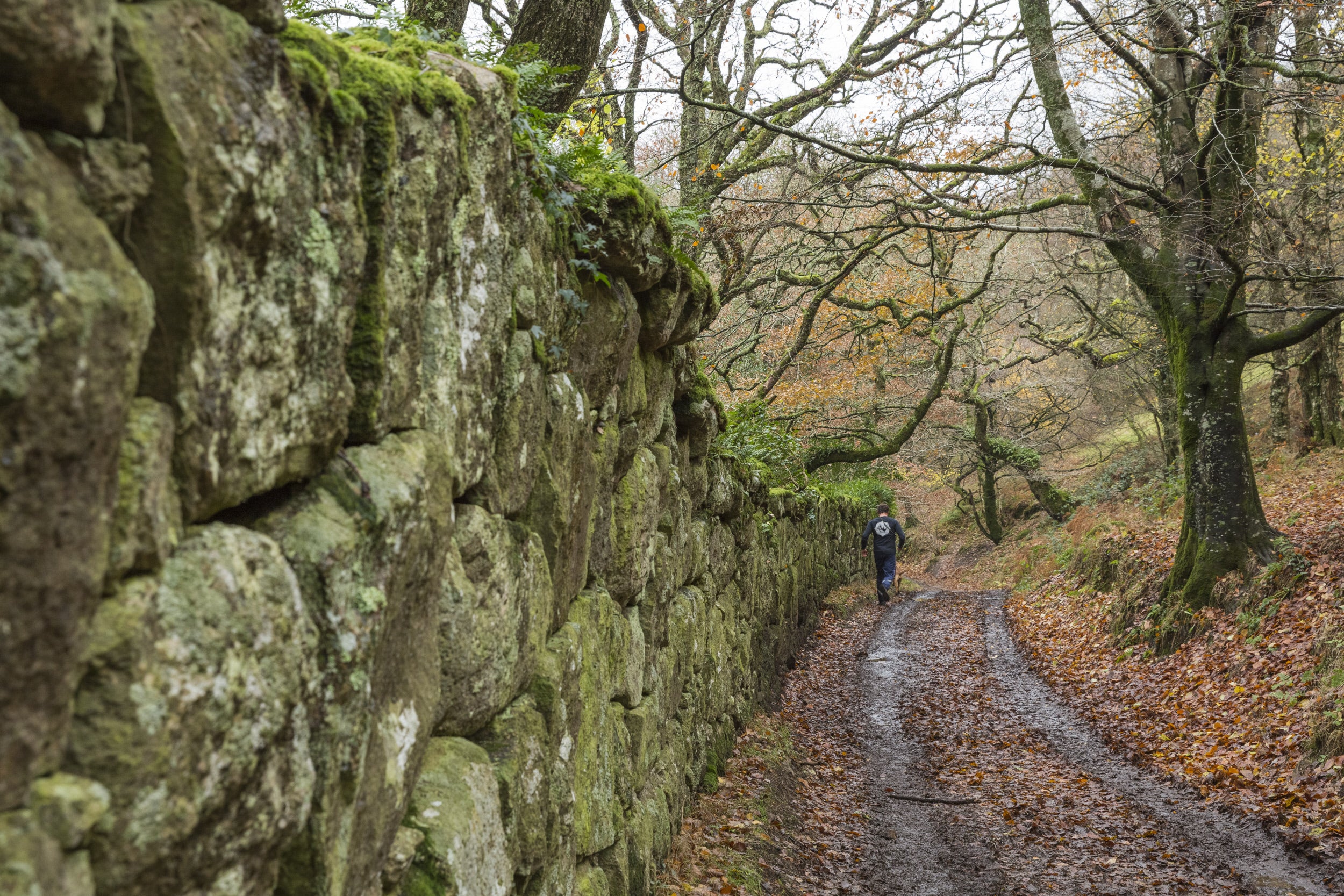 Visiting Teign Gorge|Castle Drogo| Devon | National Trust