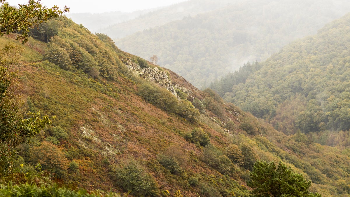 Visiting Teign Gorge|Castle Drogo| Devon | National Trust