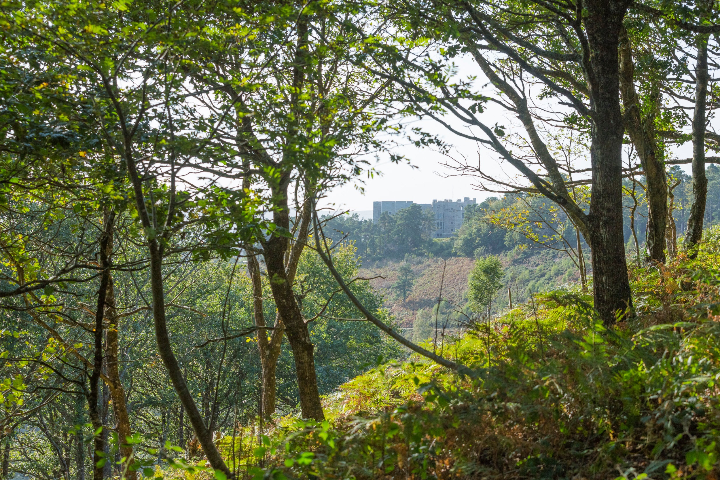 Visiting Teign Gorge|Castle Drogo| Devon | National Trust