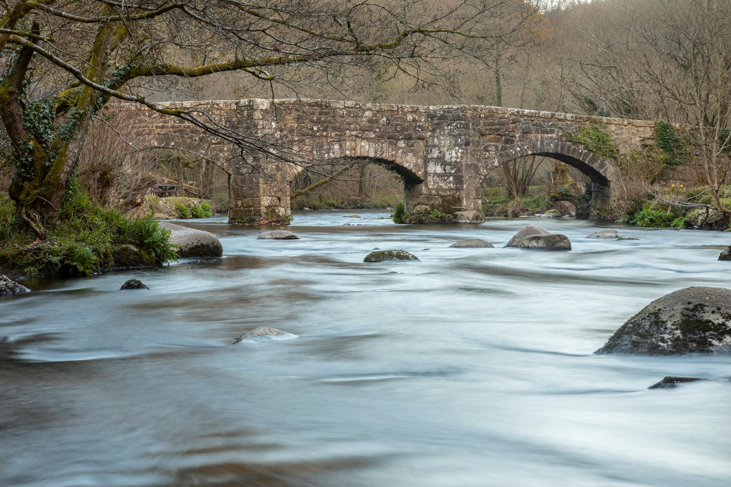 Teign Gorge walk | Devon | National Trust