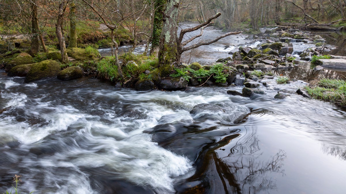 Visiting Teign Gorge|Castle Drogo| Devon | National Trust