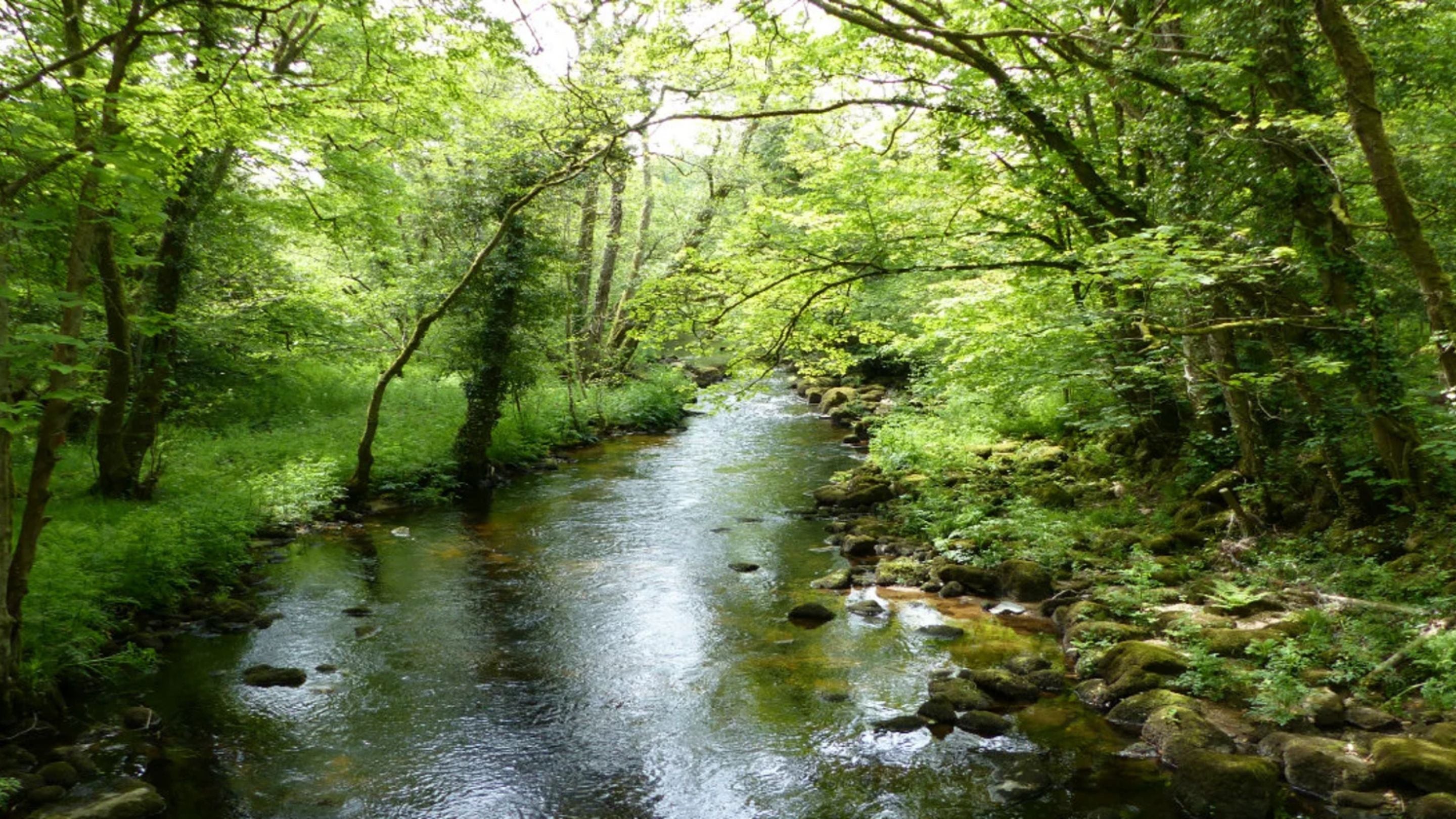 Visiting Teign Gorge|Castle Drogo| Devon | National Trust