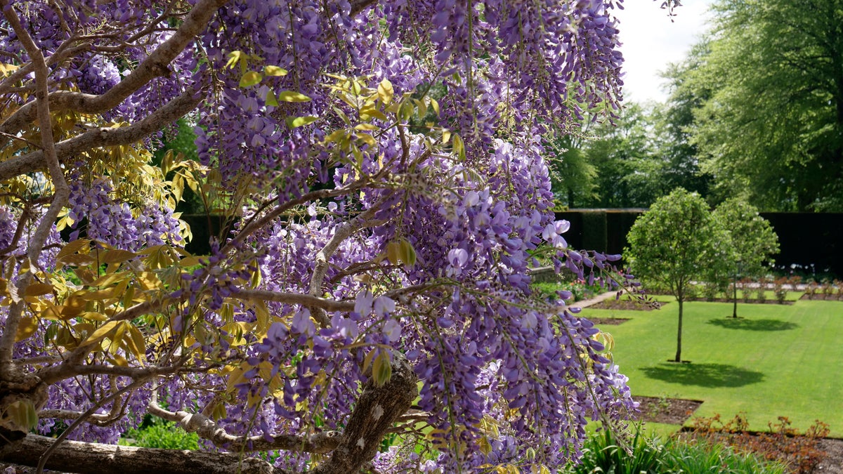 Visiting Castle Drogo's garden | Devon | National Trust