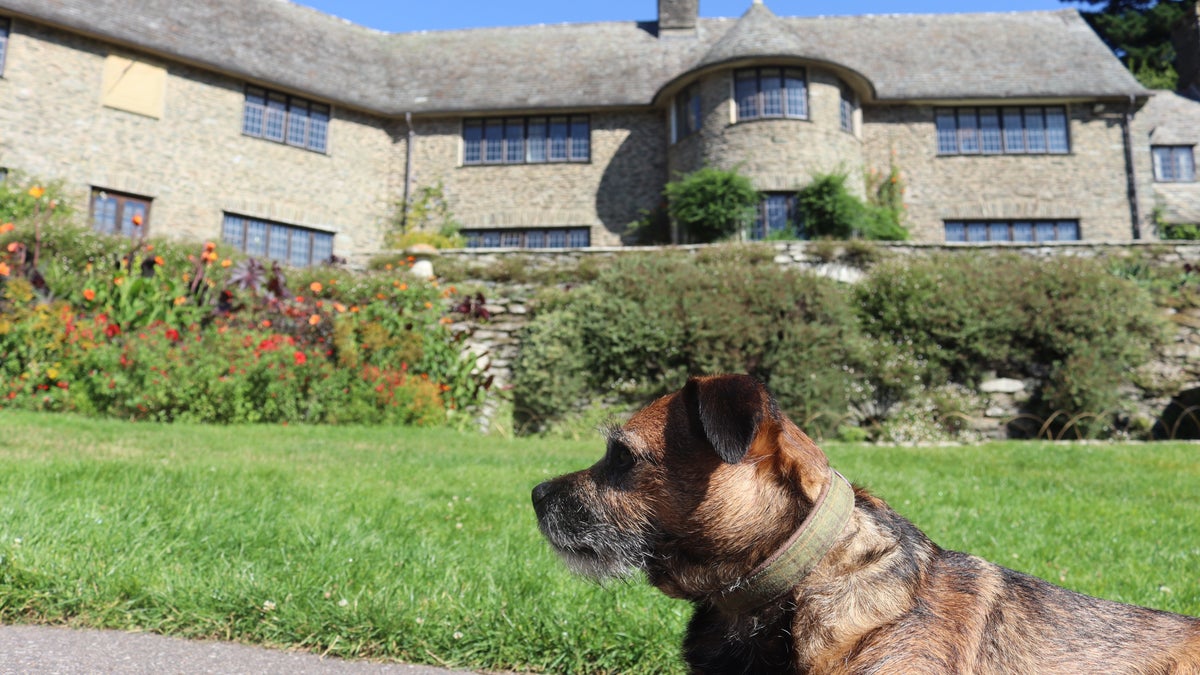 Dog walking at Coleton Fishacre| Devon | National Trust