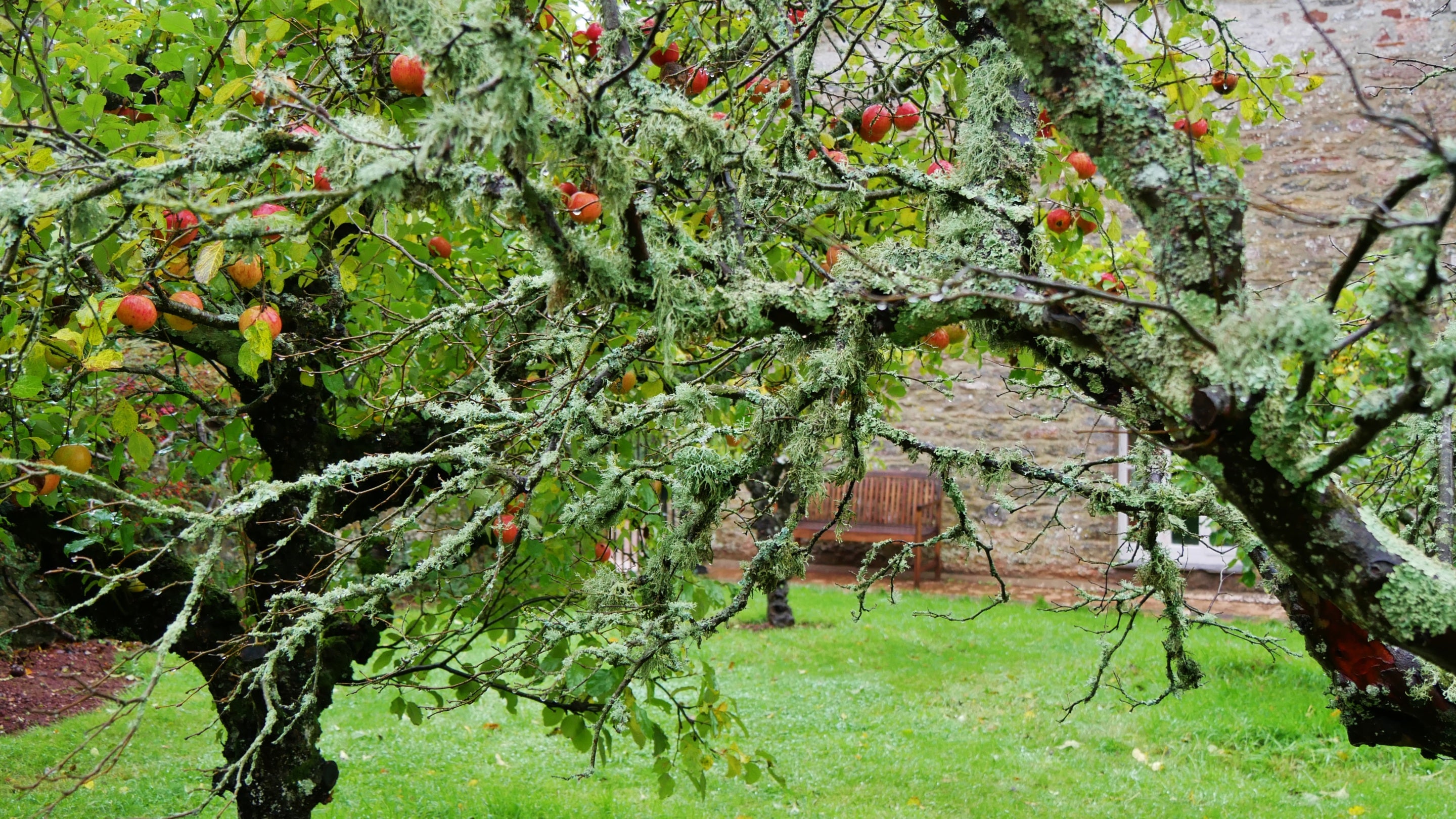 Compton Castle’s garden | Devon | National Trust