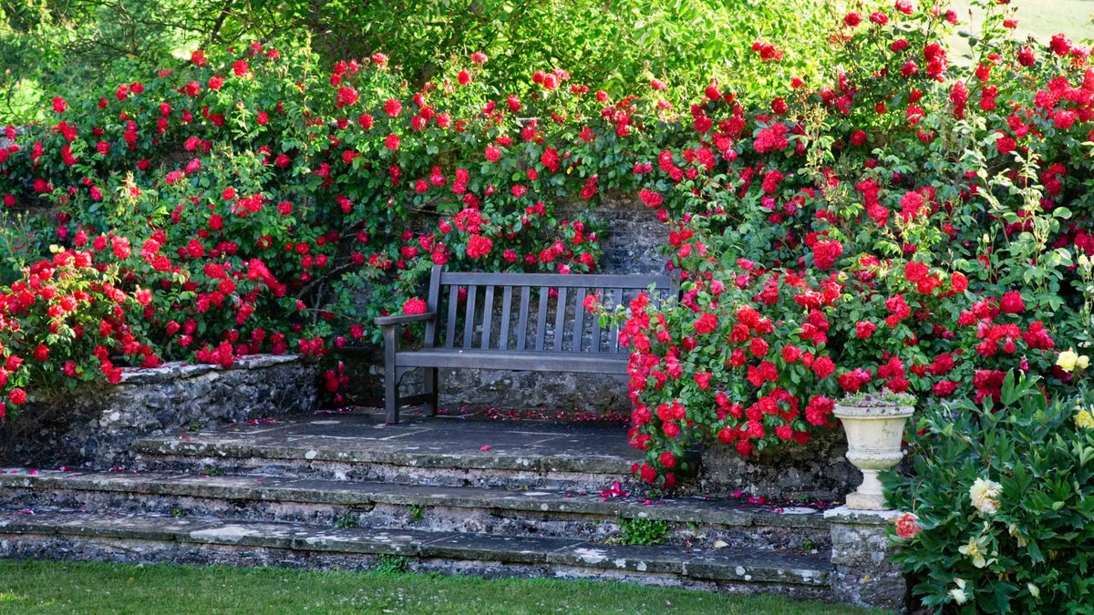 Compton Castle’s garden | Devon | National Trust