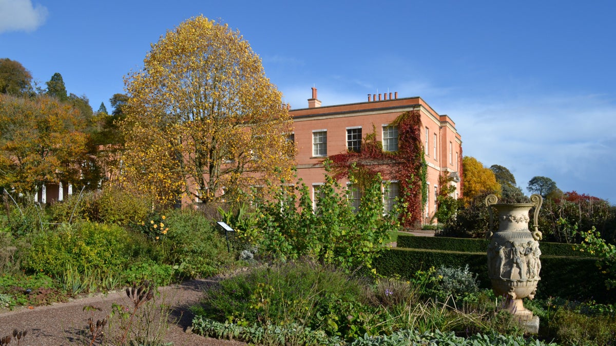 Killerton | Devon | National Trust