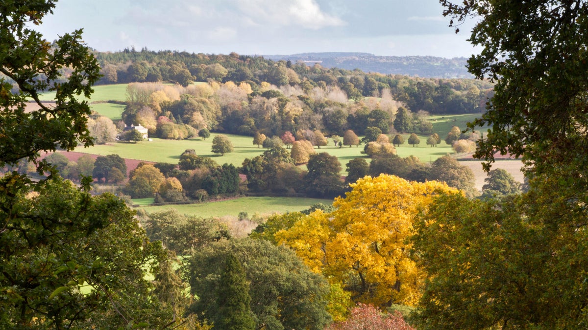 Killerton to Sprydon walk | Devon | National Trust