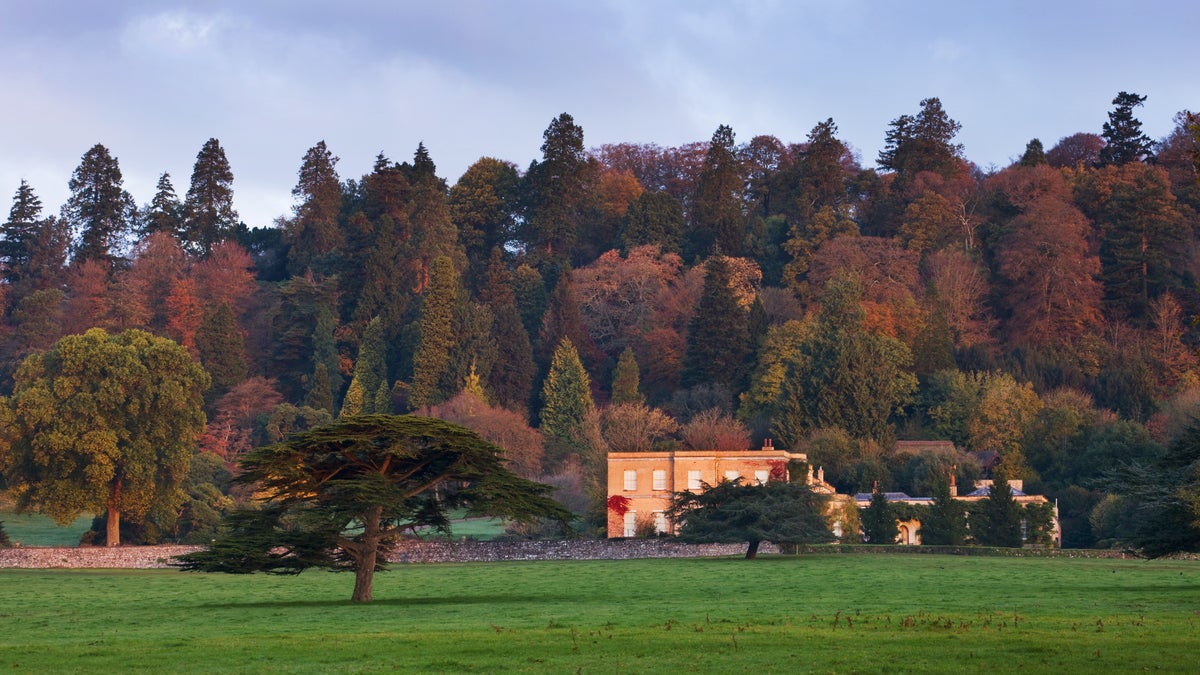 Killerton | Devon | National Trust