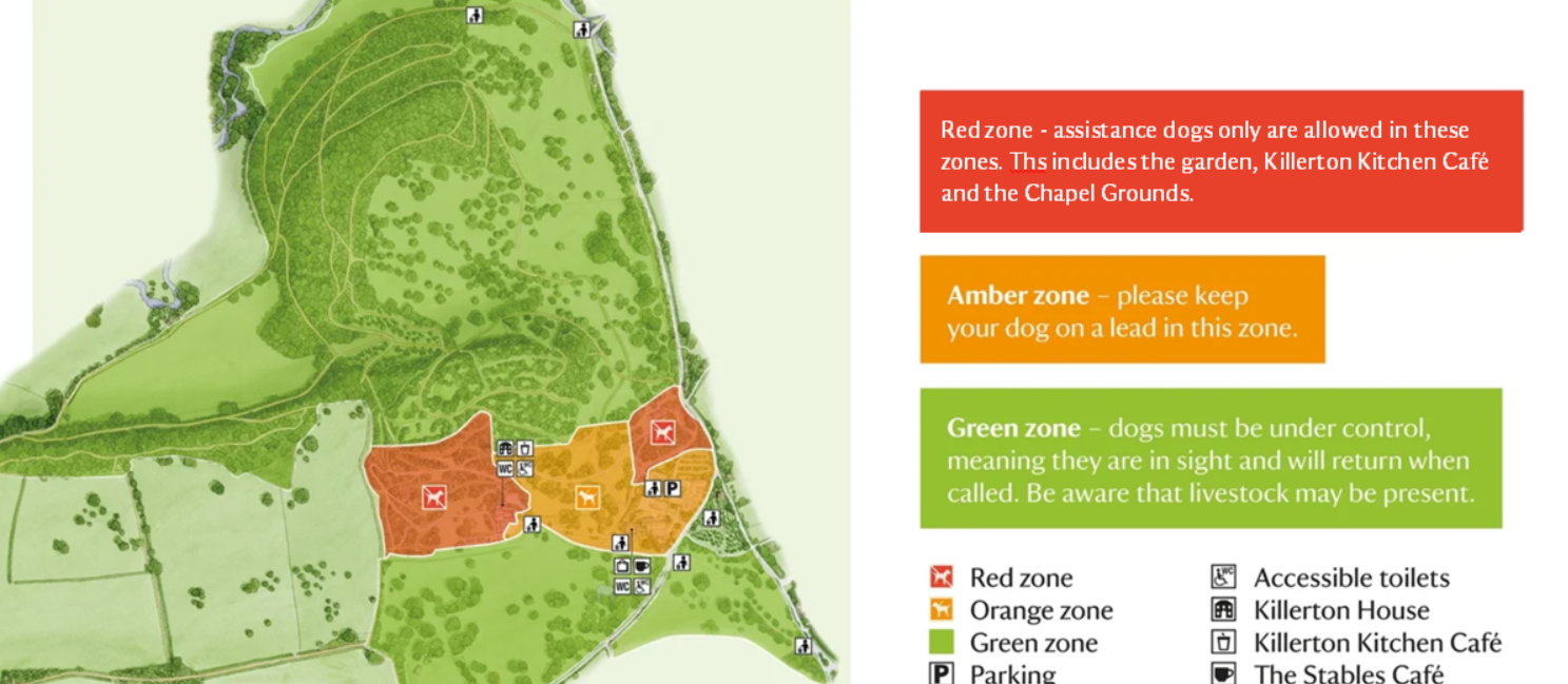 Dog walking at Killerton | Devon | National Trust