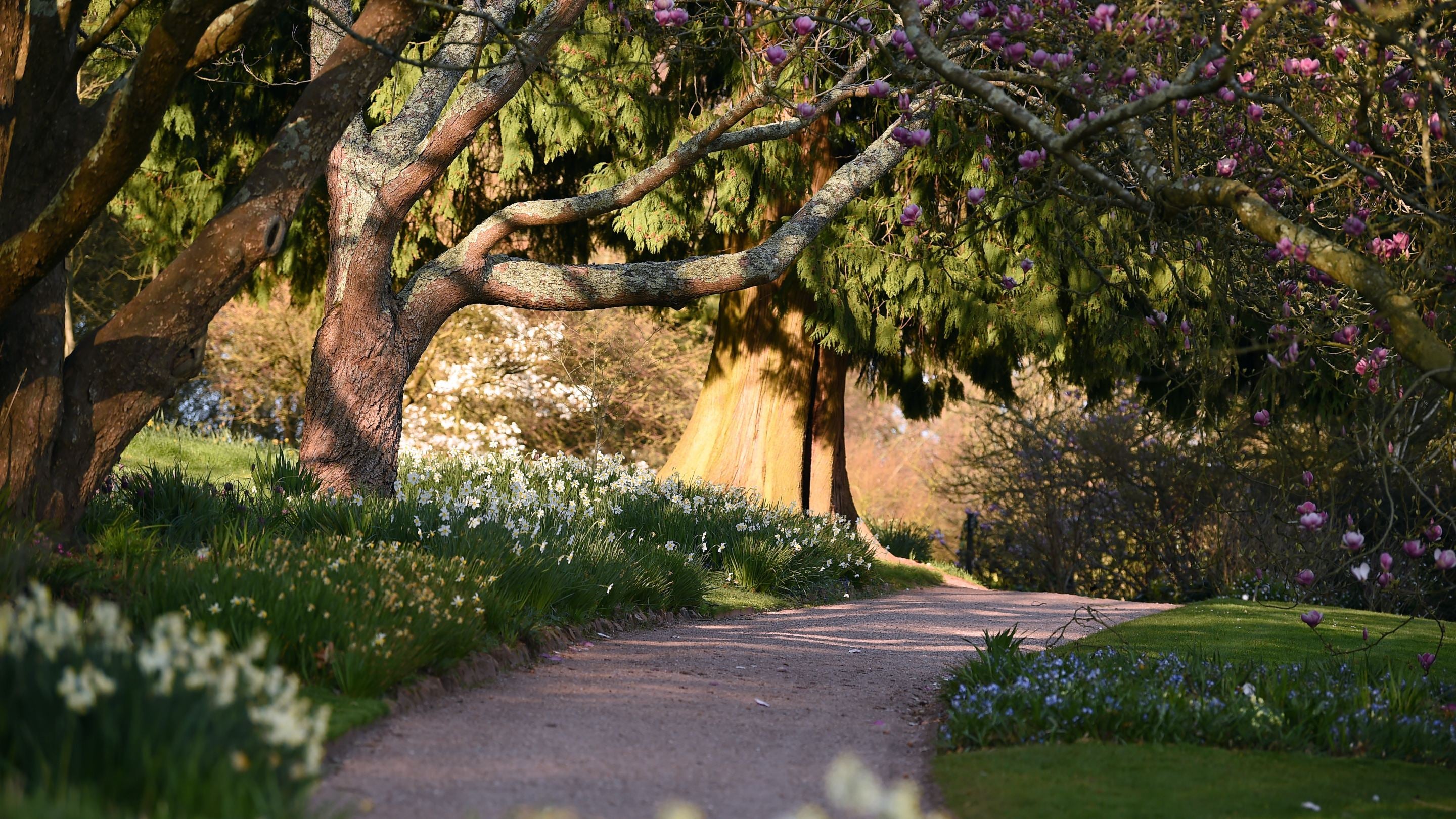 The Aclands at Killerton | Devon | National Trust