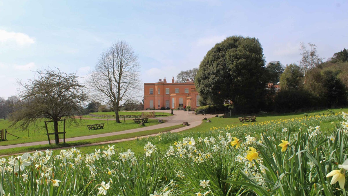 Killerton | Devon | National Trust